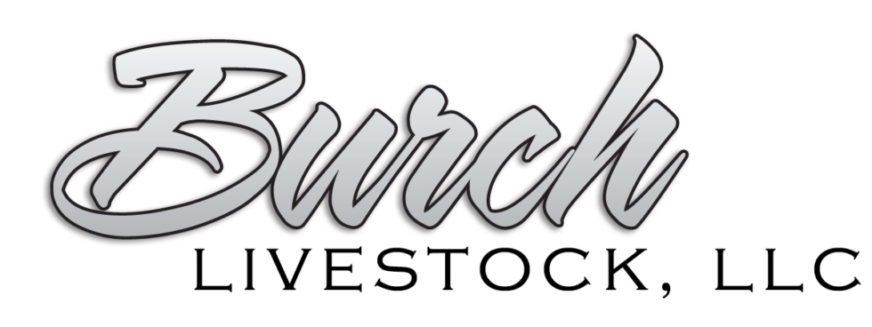 Home - Burch Livestock, LLC